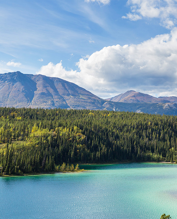 Energy Providers in Calgary - Cheap Gas & Electricity - Burst Energy